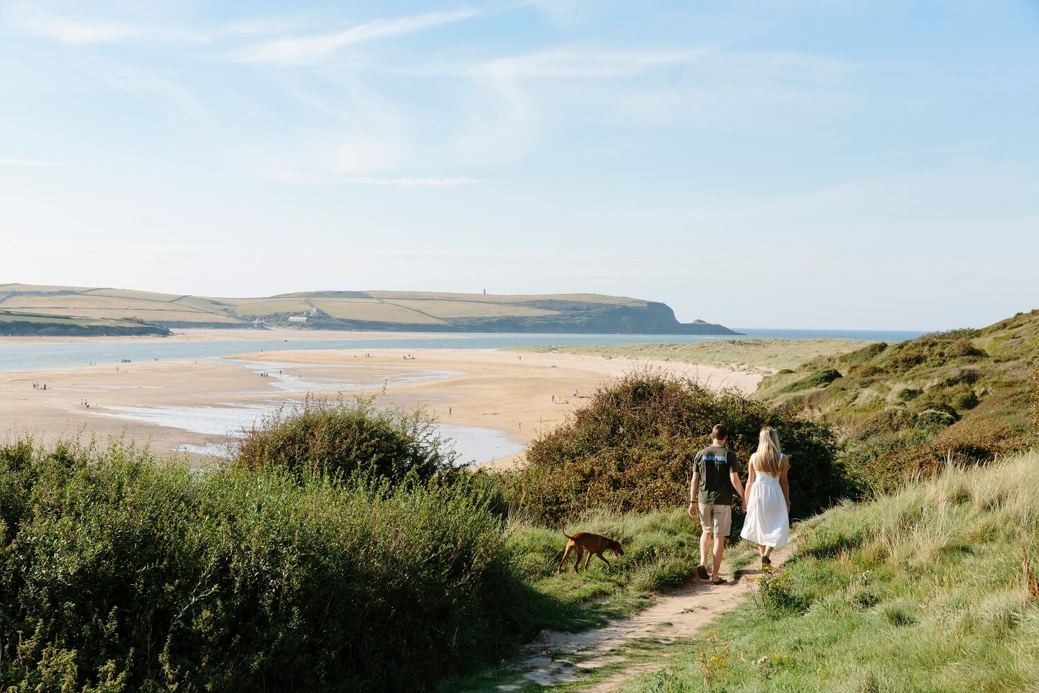Our five favourite dog walks in and around Rock