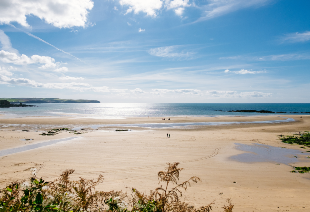 Top 10 Dog-Friendly Beaches in Devon | Perfect Stays