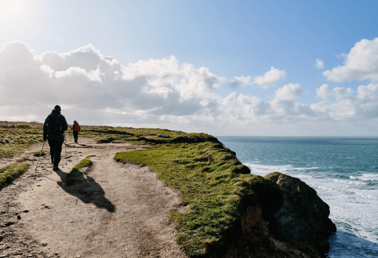 Best Dog Walks in Cornwall | Circular, Woods & Beach | Perfect Stays