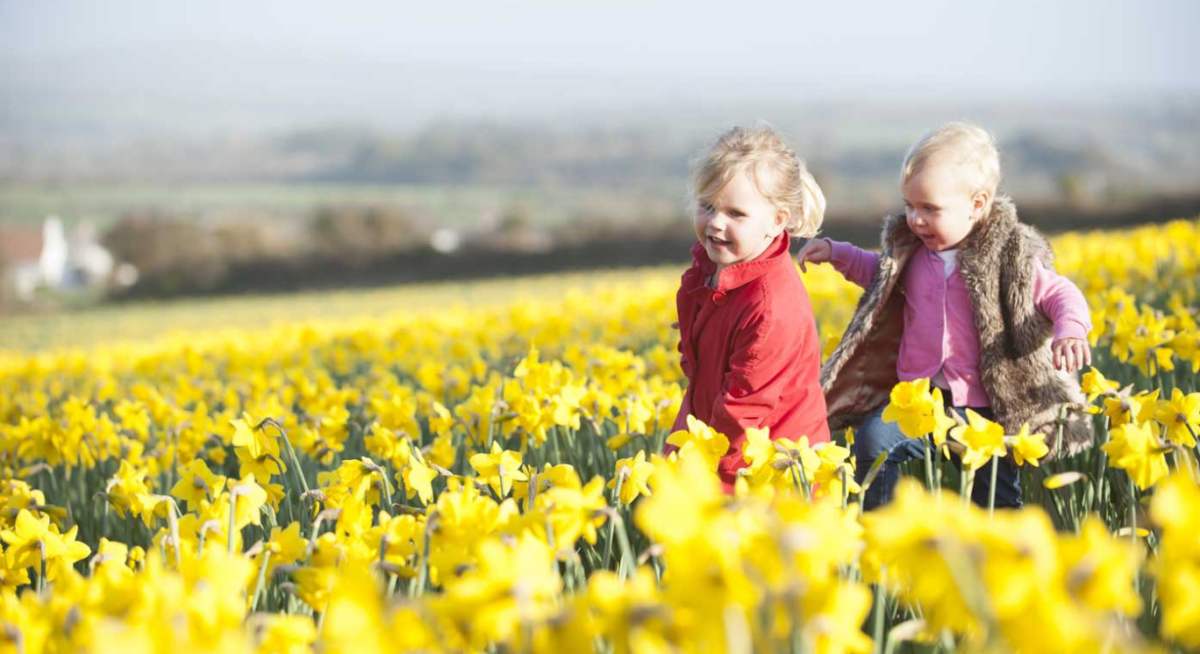 Our top National Trust days out for Easter in the South West
