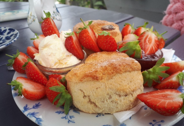 Hidden gems: Where to find the best cream tea in Cornwall | Perfect Stays